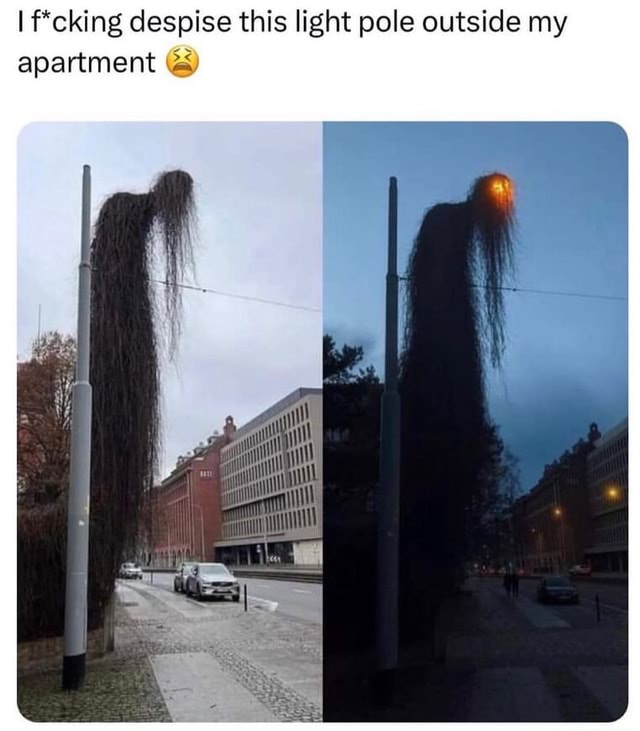 I f*cking despise this light pole outside my apartment - iFunny