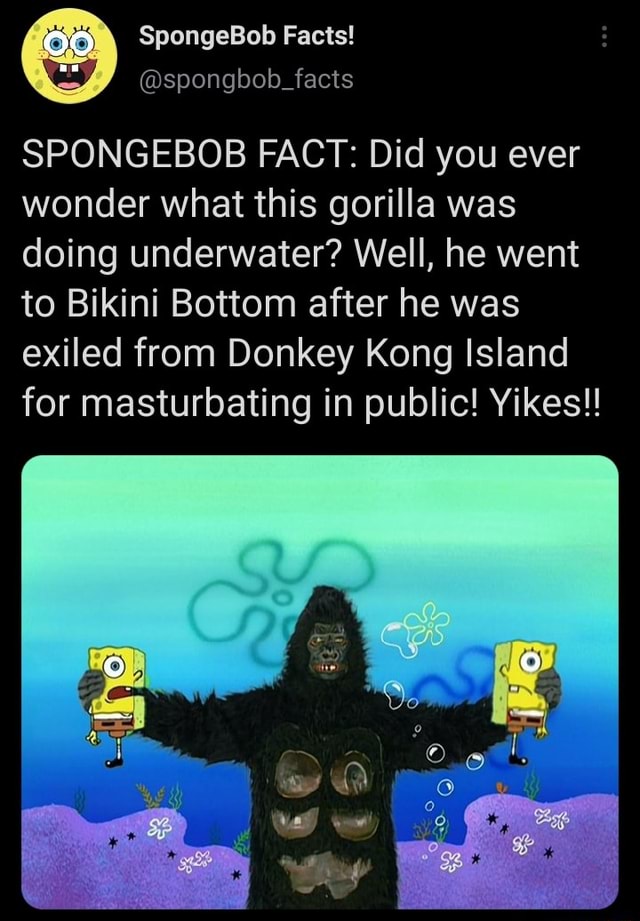 SpongeBob Facts! SPONGEBOB FACT: Did you ever wonder what this gorilla ...