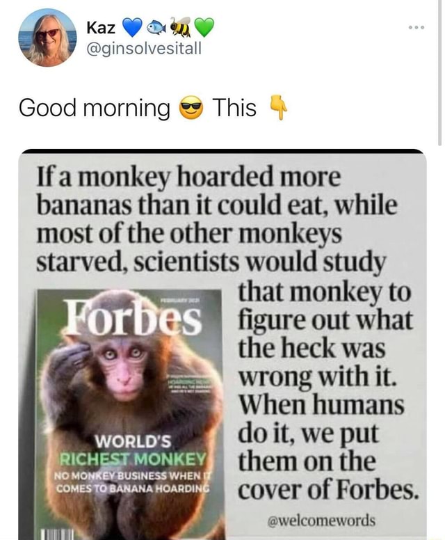 Good morning This Ifa monkey hoarded more bananas than it could eat ...