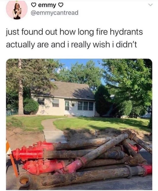 Emmy @emmycantread just found out how long fire hydrants actually are ...