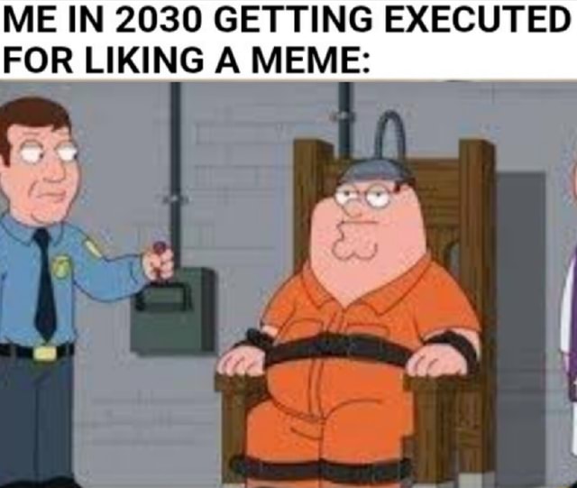 ME IN 2030 GETTING EXECUTED FOR LIKING A MEME: a SS - iFunny
