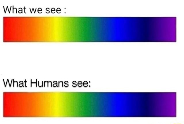 What we see: What Humans see: - iFunny