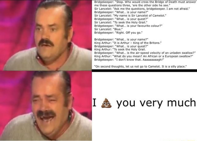 Bridgekeeper: "Stop. Who would cross the Bridge of Death must answer me ...