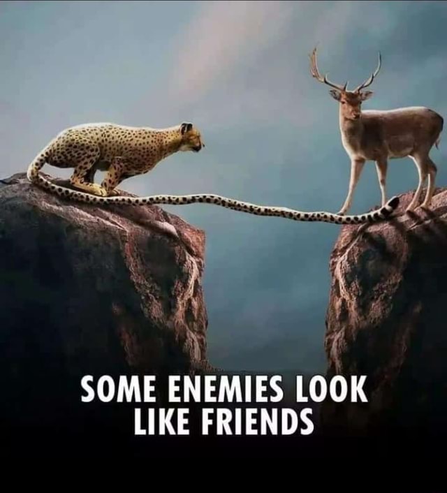 SOME ENEMIES LOOK LIKE FRIENDS - iFunny