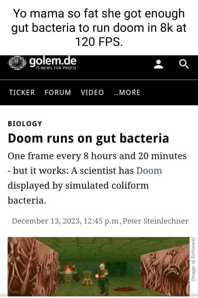Yo mama so fat she got enough gut bacteria to run doom in at 120 FPS ...