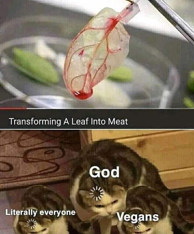 Transforming Leaf Into Meat God Literally everyone ag Vegans - iFunny