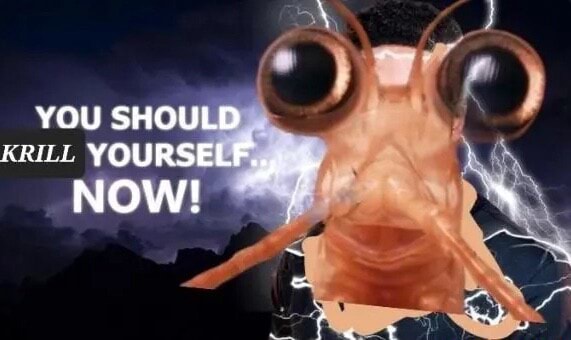 YOU SHOULD KRILL YOURSELF..,: NOW! - iFunny