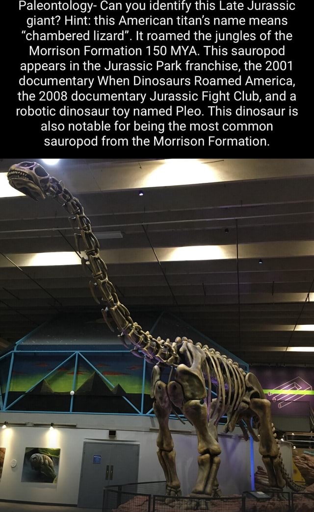 Paleontology- Can you identify this Late Jurassic giant? Hint: this ...