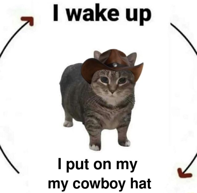 I wake up I put on my my cowboy hat - iFunny