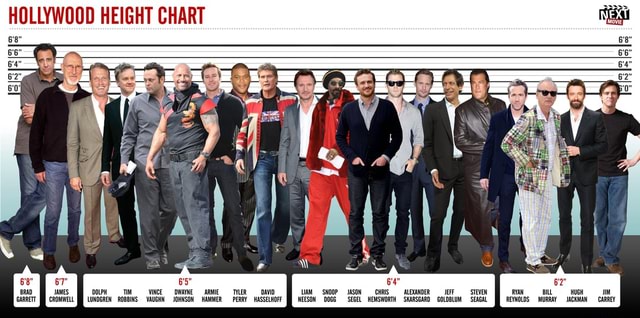The taller - HOLLYWOOD HEIGHT CHART 6'8" 6'2" BRAD DOLPH TIM LUNDGREN ...