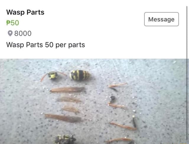 Wasp Parts P50 º 8000 Wasp Parts 50 per parts - iFunny