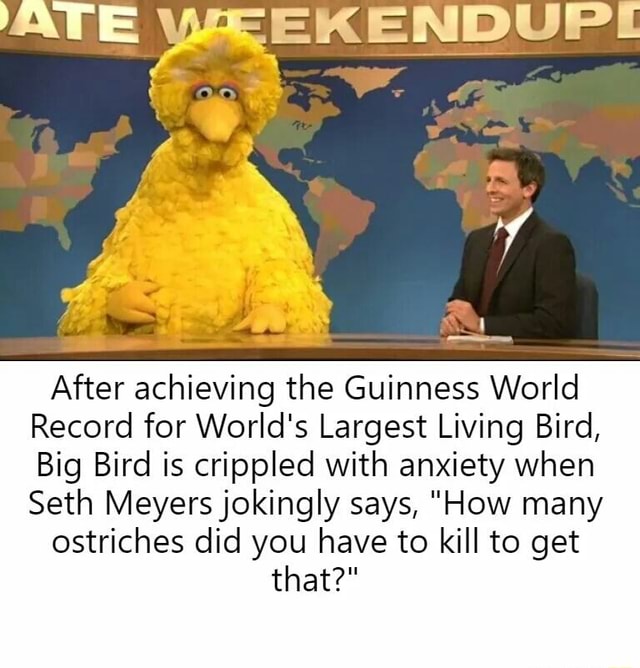 Record for World's Largest Living Bird, Big Bird is crippled With ...