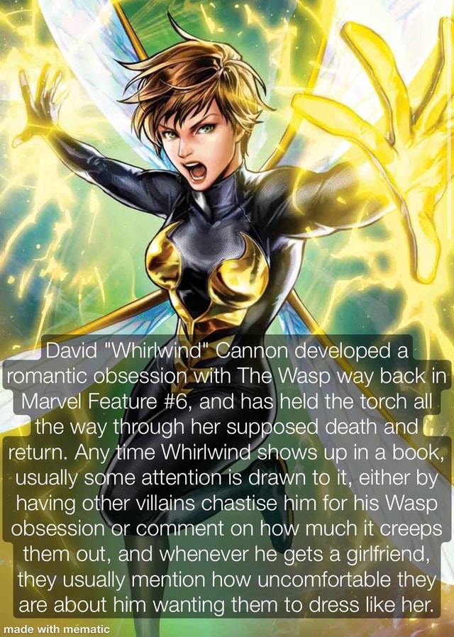 Avid "Whirlwind" Cannon developed a romantic obsession with The Wasp ...