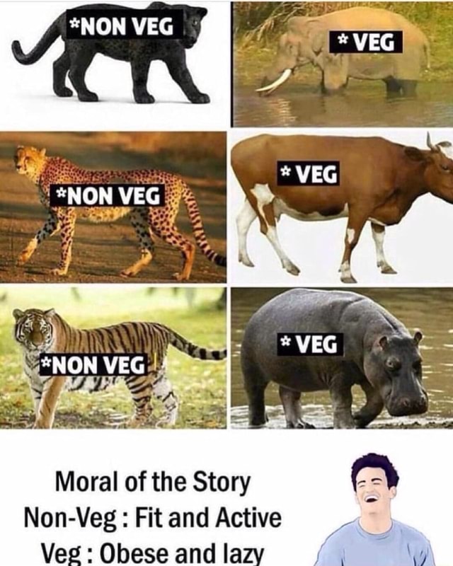 NON VEG "NON VEG "VEG "NON VEG Moral of the Story Non-Veg Fit and ...