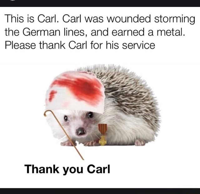 This is Carl. Carl was wounded storming the German lines, and earned a ...
