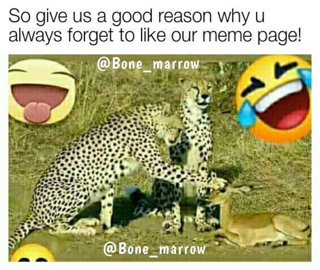 SO give us a good reason why u always forget to like our meme page ...