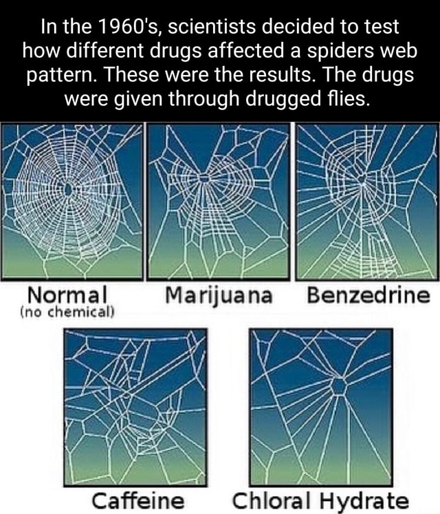 In the 1960's, scientists decided to test how different drugs affected ...