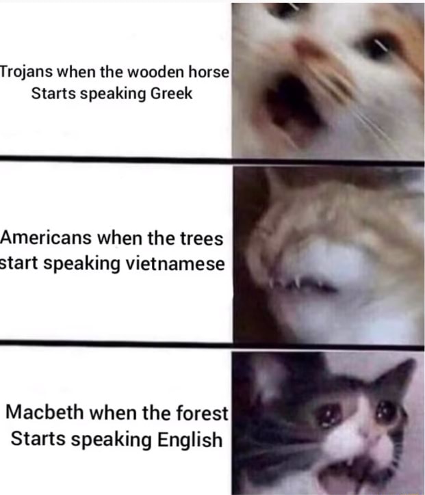 Trojans when the wooden horse Starts speaking Greek Americans when the trees start speaking ...