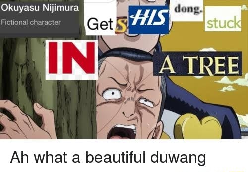 Okuyasu Nijimura Ah what a beautiful duwang - iFunny