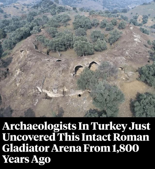 Archaeologists In Turkey Just Uncovered This Intact Roman Gladiator ...