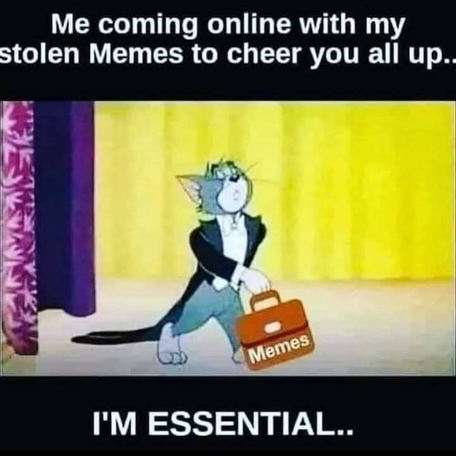 Me coming online with my stolen Memes to cheer you all up.. NS I'M ...