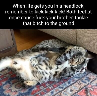 When life gets you in a headlock, remember to kick kick kick! Both feet ...