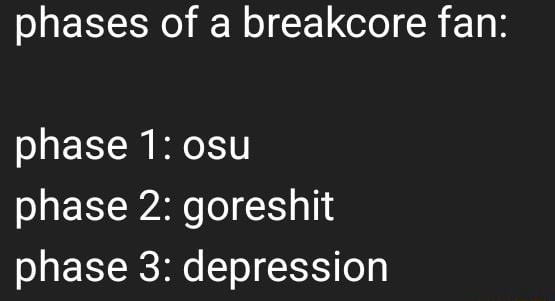 Phases of a breakcore fan: phase 1: osu phase 2: goreshit phase 3 ...