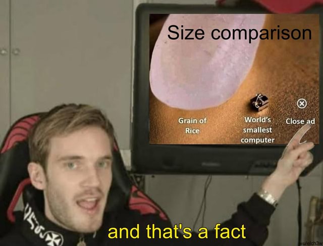 Size comparison Grain of world's Clage Rice smallest computer and that ...