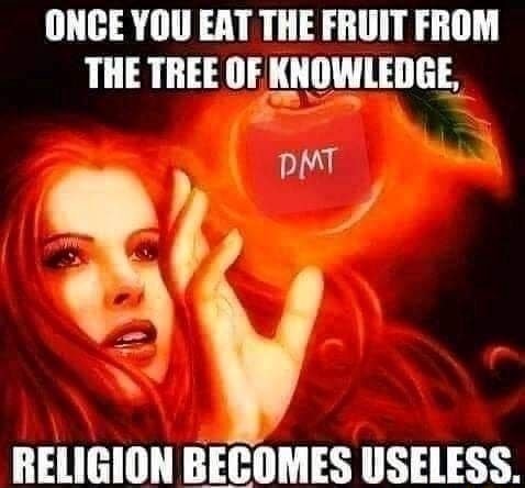 ONCE YOU EAT THE FRUIT FROM THE TREE OF RELIGION BECOMES USELESS. - iFunny