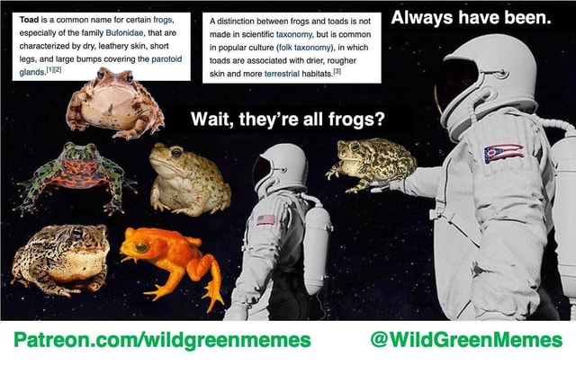 🐸 Meme by @beingevolved - A distinction between frogs and toads is not ...