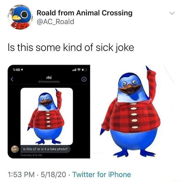 AM@@), Roald from Animal Crossing @AC_Roald Is this some kind of sick ...
