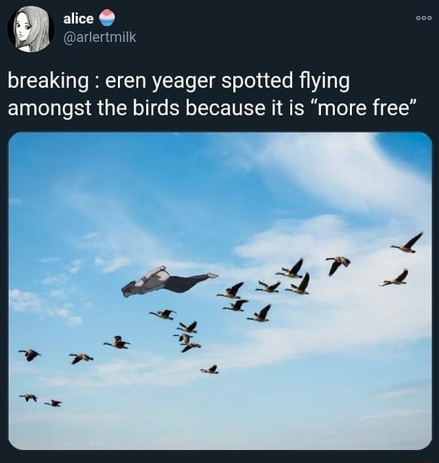 Alice Breaking Eren Yeager Spotted Flying Amongst The Birds Because It Is More Free Ifunny