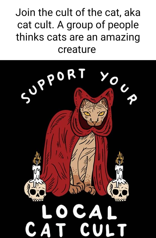 Join the cult of the cat, aka cat cult. A group of people thinks cats are an amazing creature ...