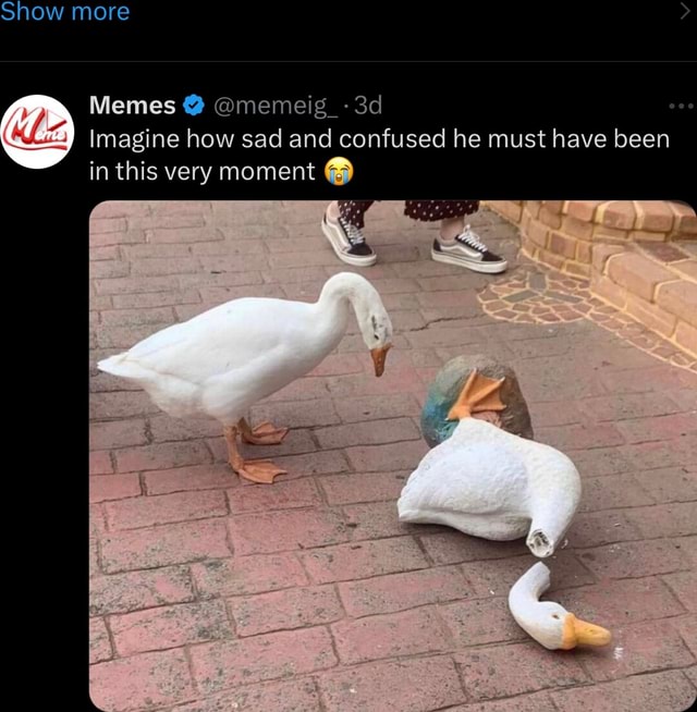 Show more Memes @ @memeig_- Imagine how sad and confused he must have ...