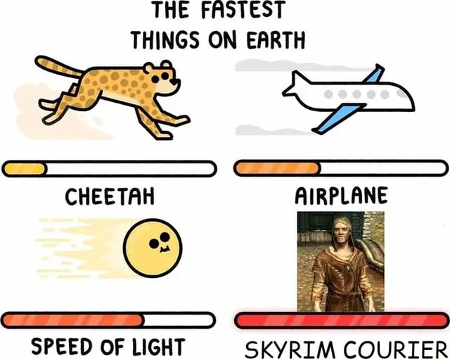 THE FASTEST THINGS ON EARTH SA CHEETAH AIRPLANE SPEED OF LIGHT SKYRIM ...