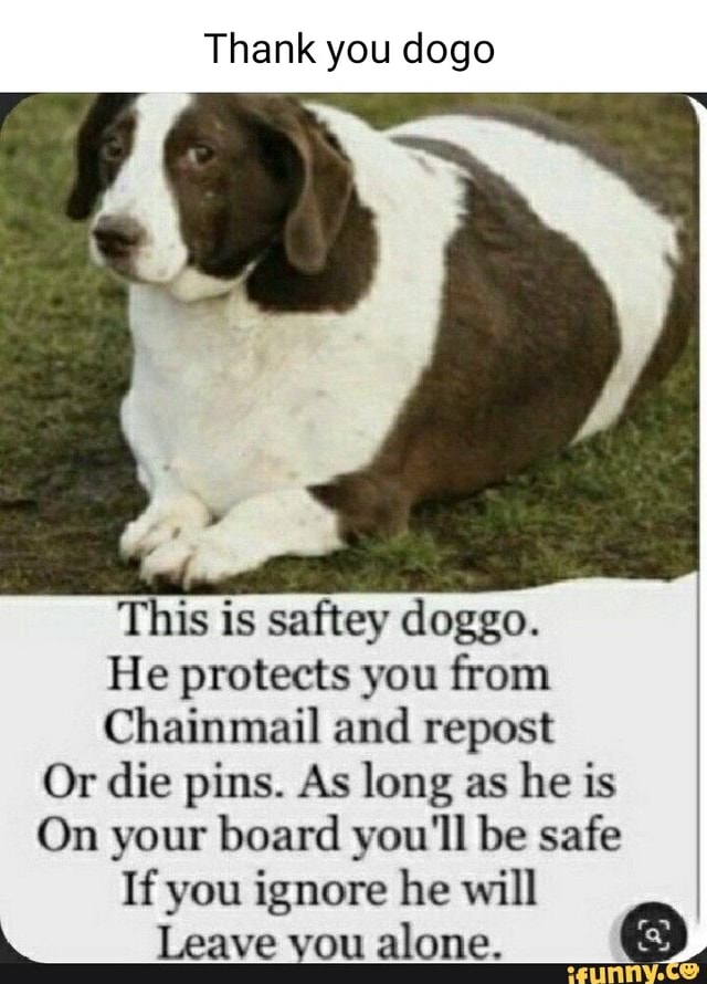 Thank you doge This is saftey doggo. He protects you from Chainmail and ...