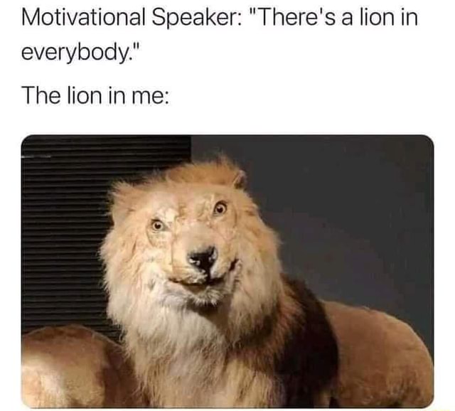 Random Meme Dump - Motivational Speaker: "There's a lion in everybody ...
