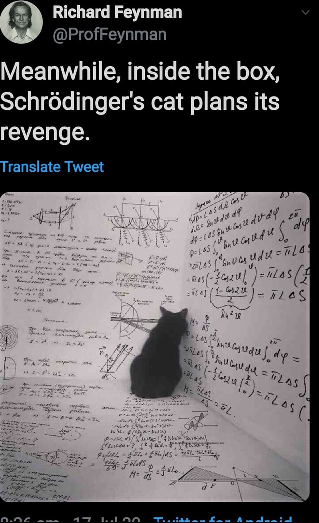 Meanwhile, inside the box, Schrodinger's cat plans its revenge ...