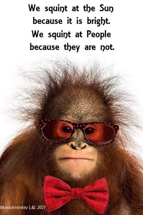 We squint at the Sun because it is bright. We squint at People because ...