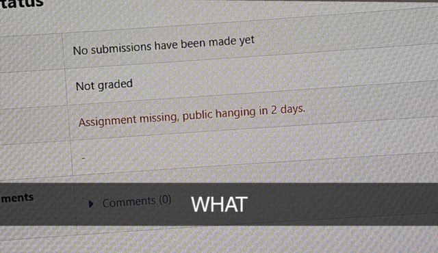 No submissions have been made yet Not graded Assignment missing, public ...