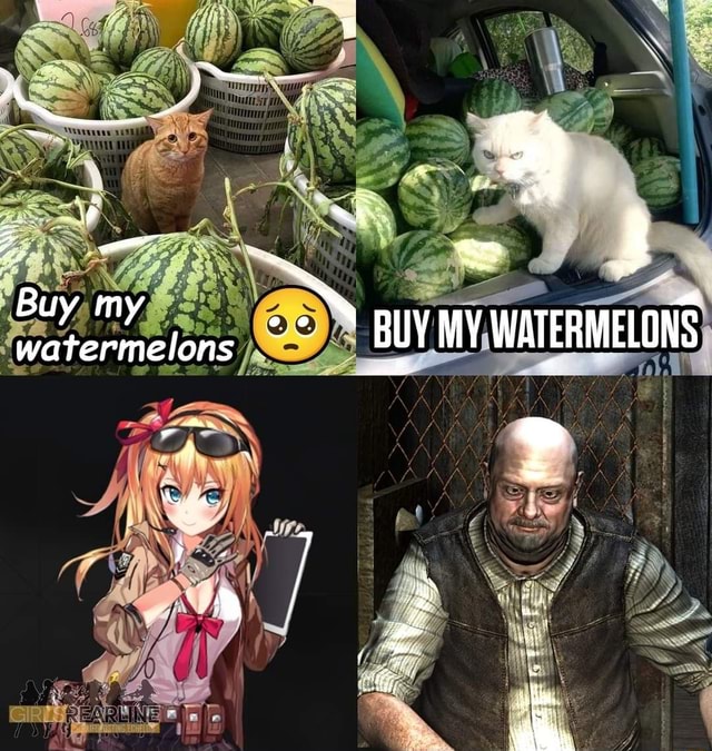 Ons Buy My Watermelons Ifunny