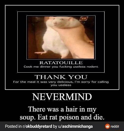 RATATOUILLE Cook me dinner you fucking useless rodent THANK YOU For the ...