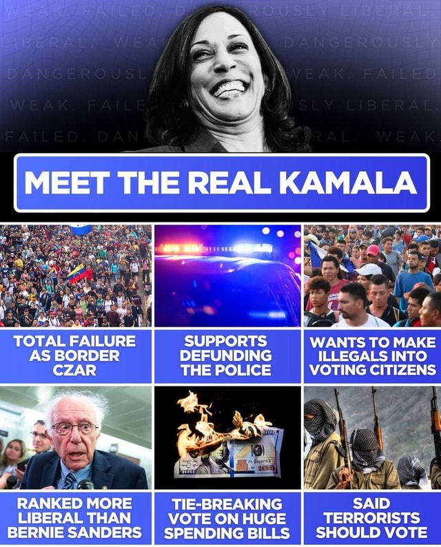 MEET THE REAL KAMALA TOTAL FAILURE AS BORDER CZAR RANKED MORE LIBERAL ...