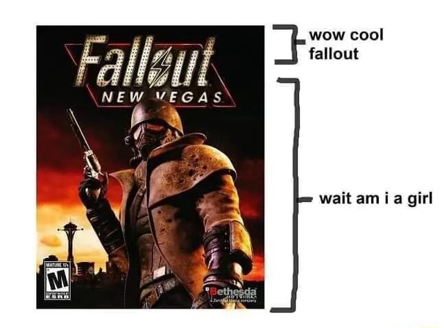 Trans gamers why does Fallout resonate with so many of us - wow cool ...