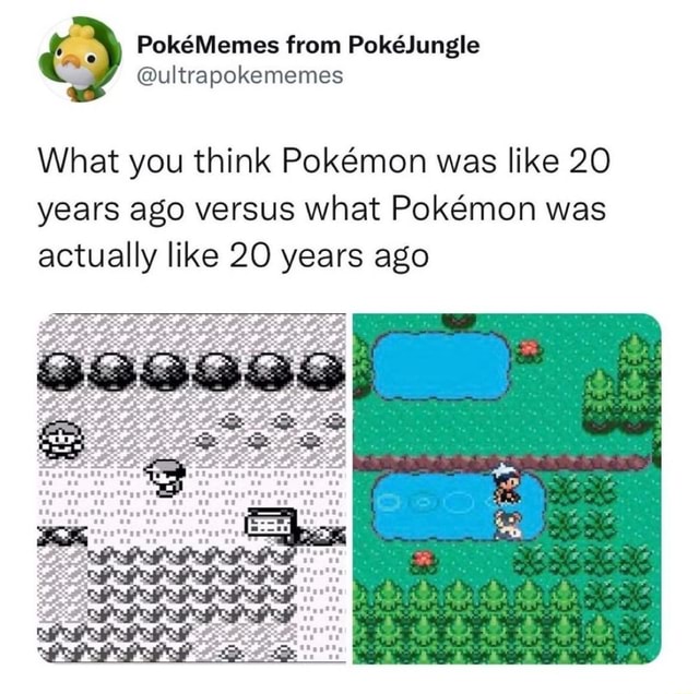 PokMemes from PokeJungle @ultrapokememes What you think Pokmon was like ...