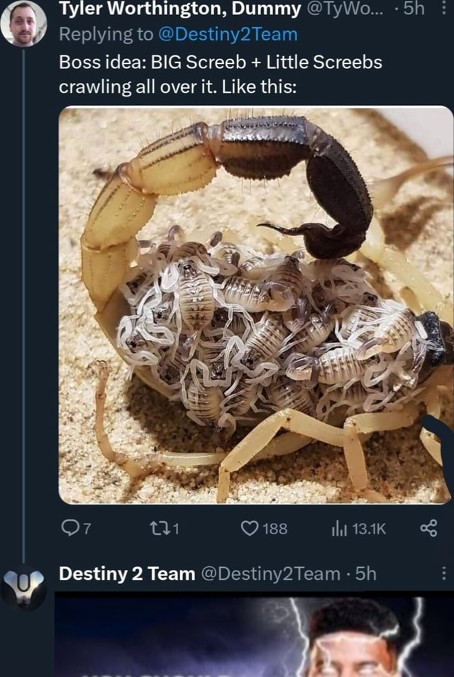 Tyler Worthington, Dummy @TyWo... Replying to @Destiny2Team Boss idea ...