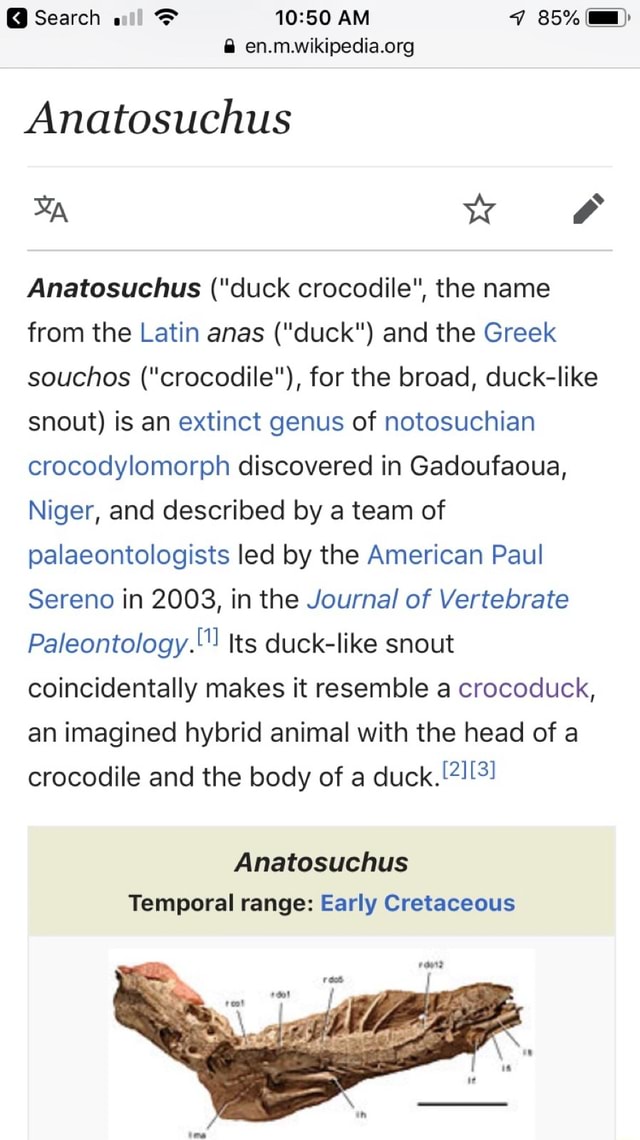 .Search ".? 10:50AM í? 85%[É' Anatosuchus Anatosuchus ("duck crocodile ...