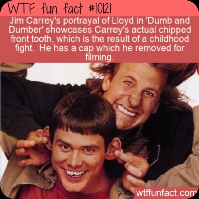 Jim Carrey's portrayal of Lloyd in 'Dumb and Dumber' showcases Carrey's ...