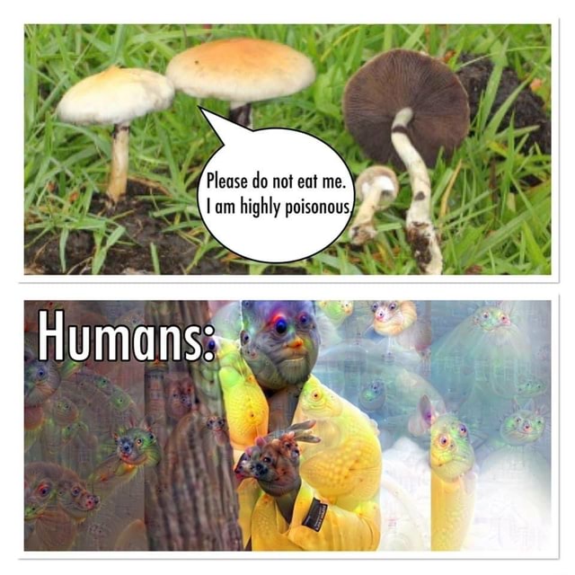 Please do not eat me. om highly poisonous?? - iFunny