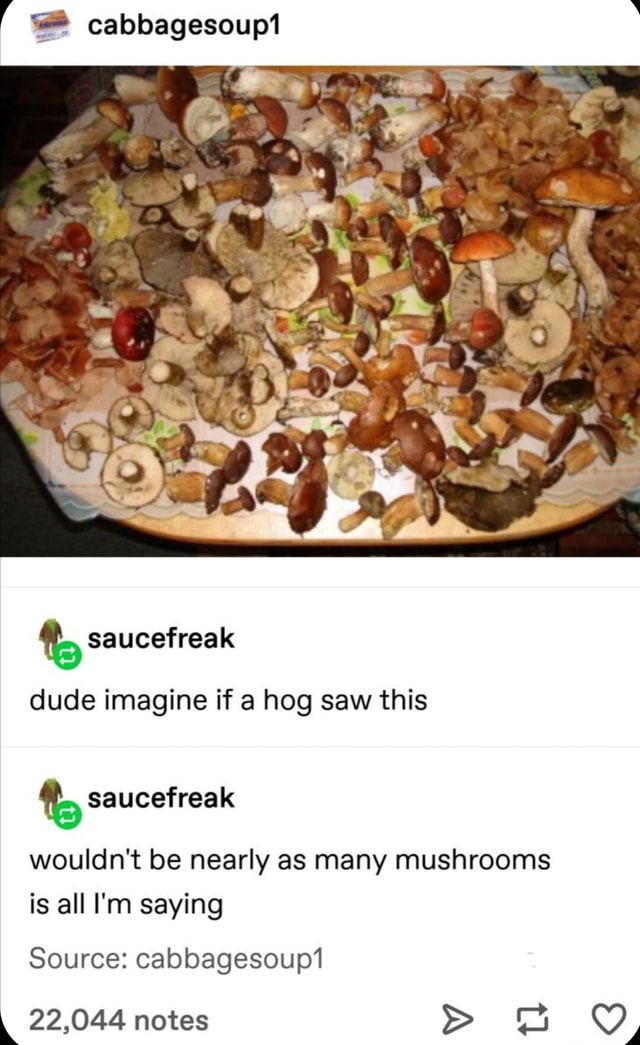 Cabbagesoup! ty saucefreak dude imagine if a hog saw this t saucefreak ...